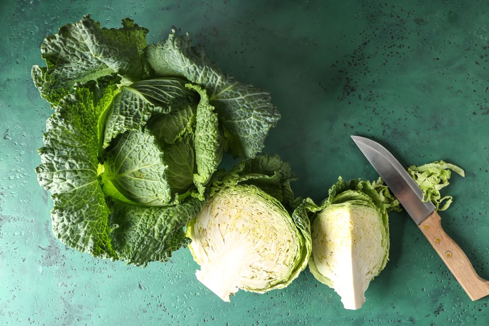 Groene kool - savooiekool | PLANTPROEF