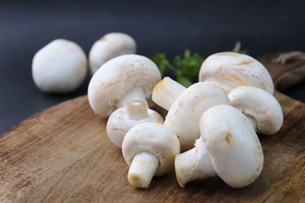 Paddenstoelen - supergezonde schimmel | PLANTPROEF