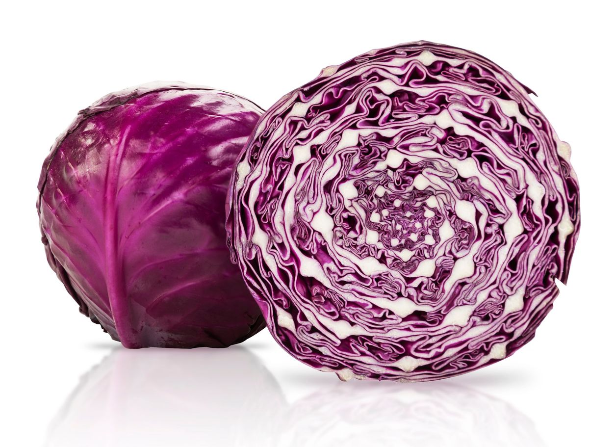 Rode kool - groente voor het hele jaar | PLANTPROEF