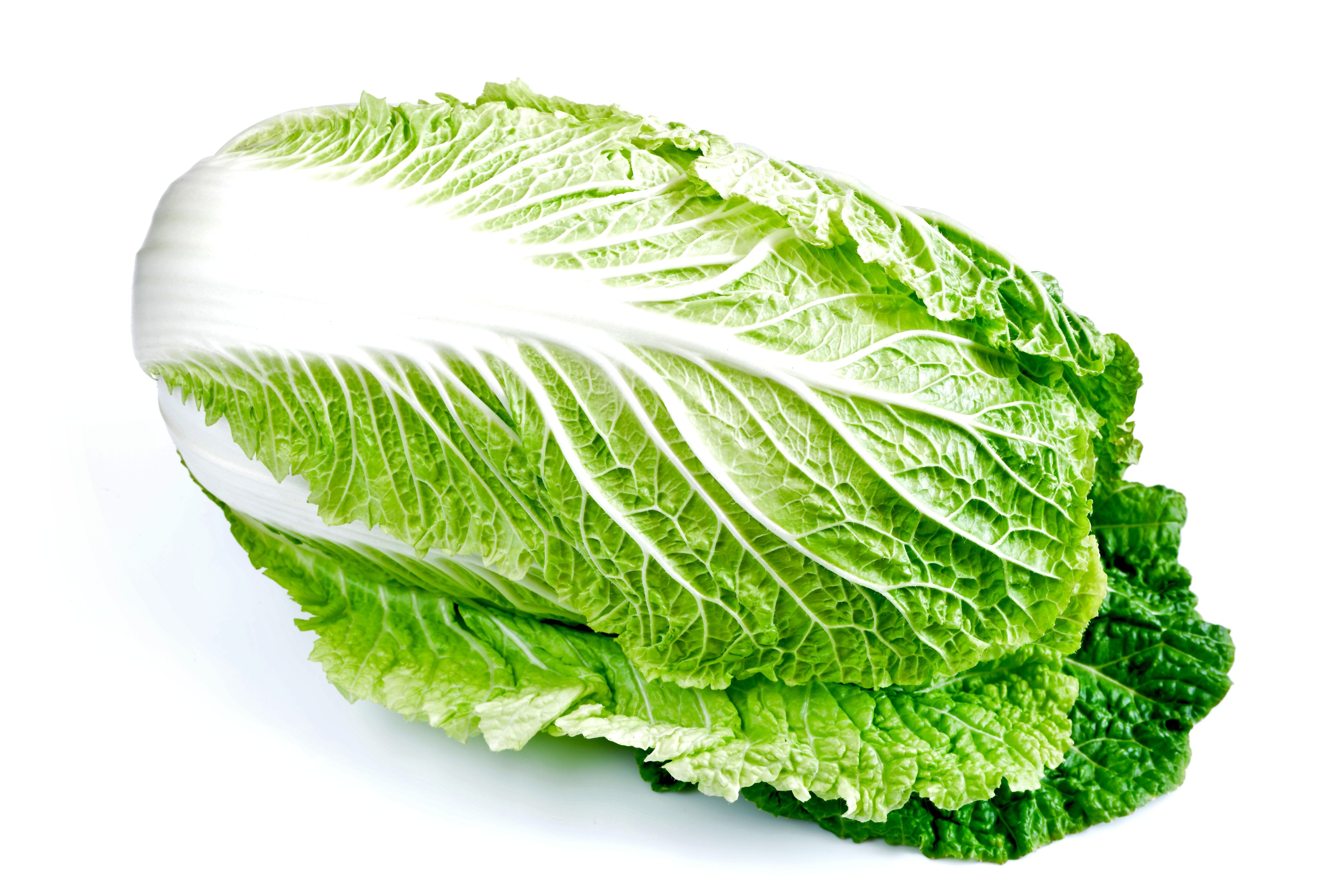 Chinese kool - Aziatische groente in Nederland | PLANTPROEF