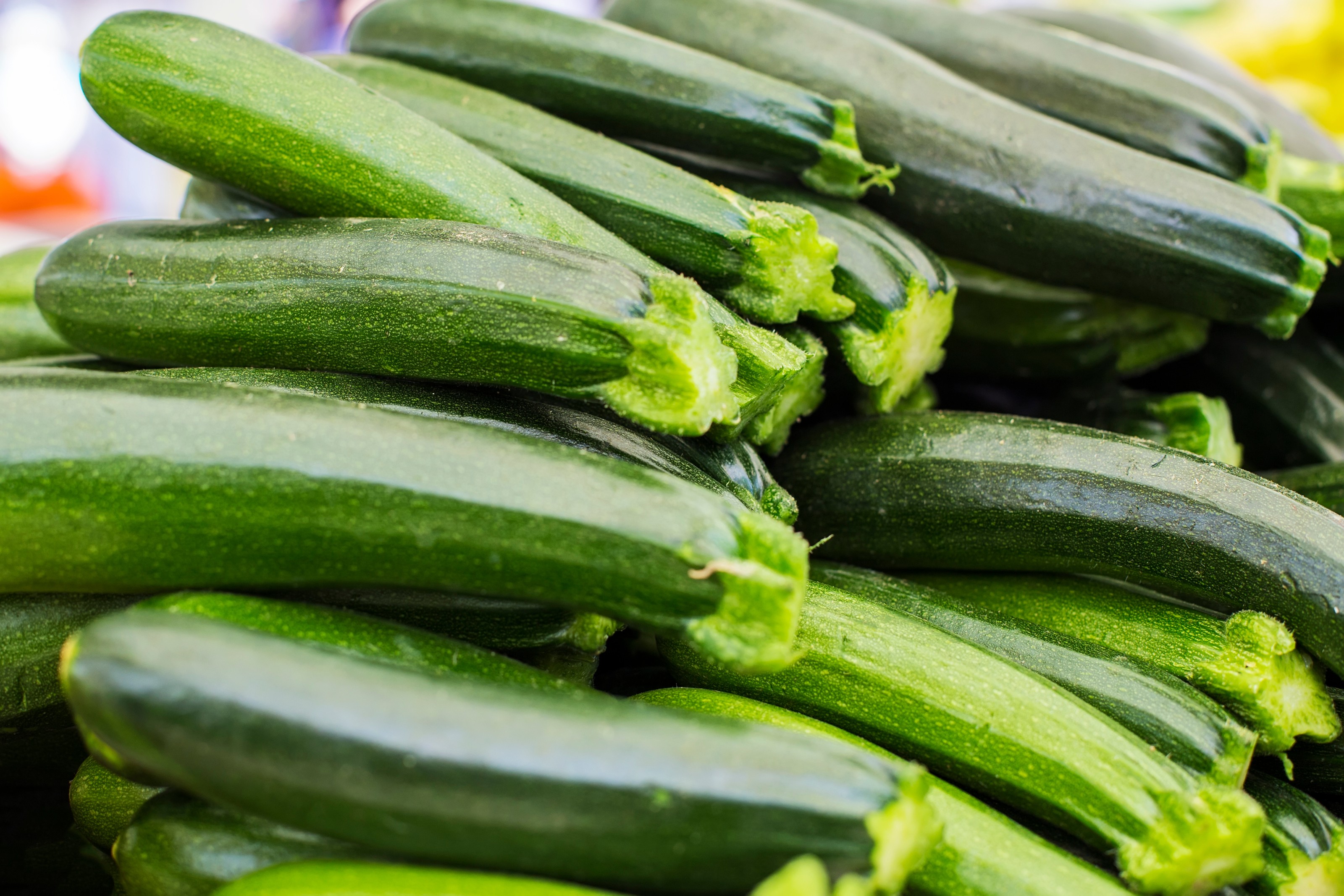 Courgette - de pompoen voor in de zomer | PLANTPROEF